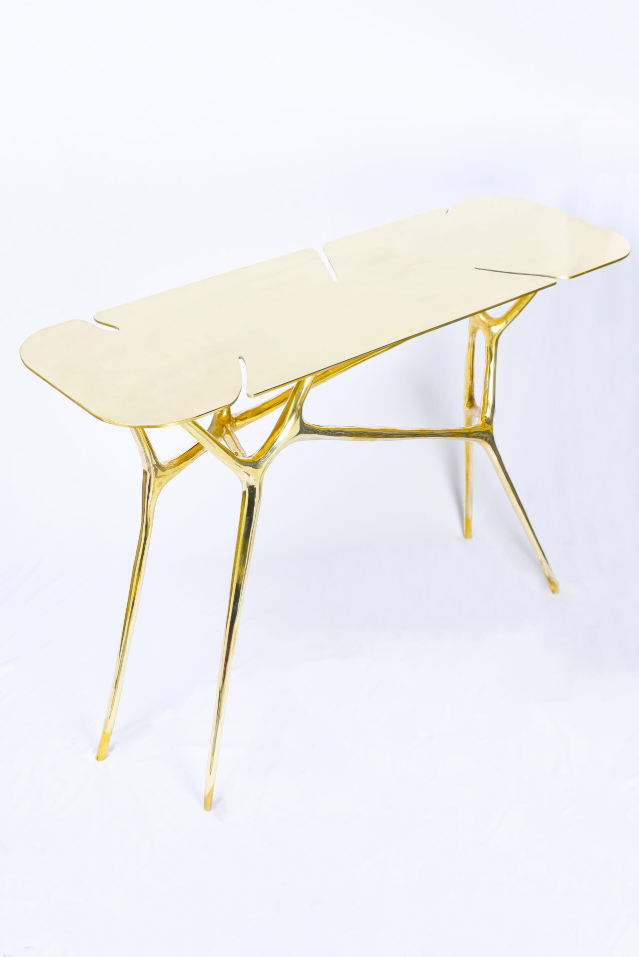 Tree Branch Console Table | Studio Aurawala